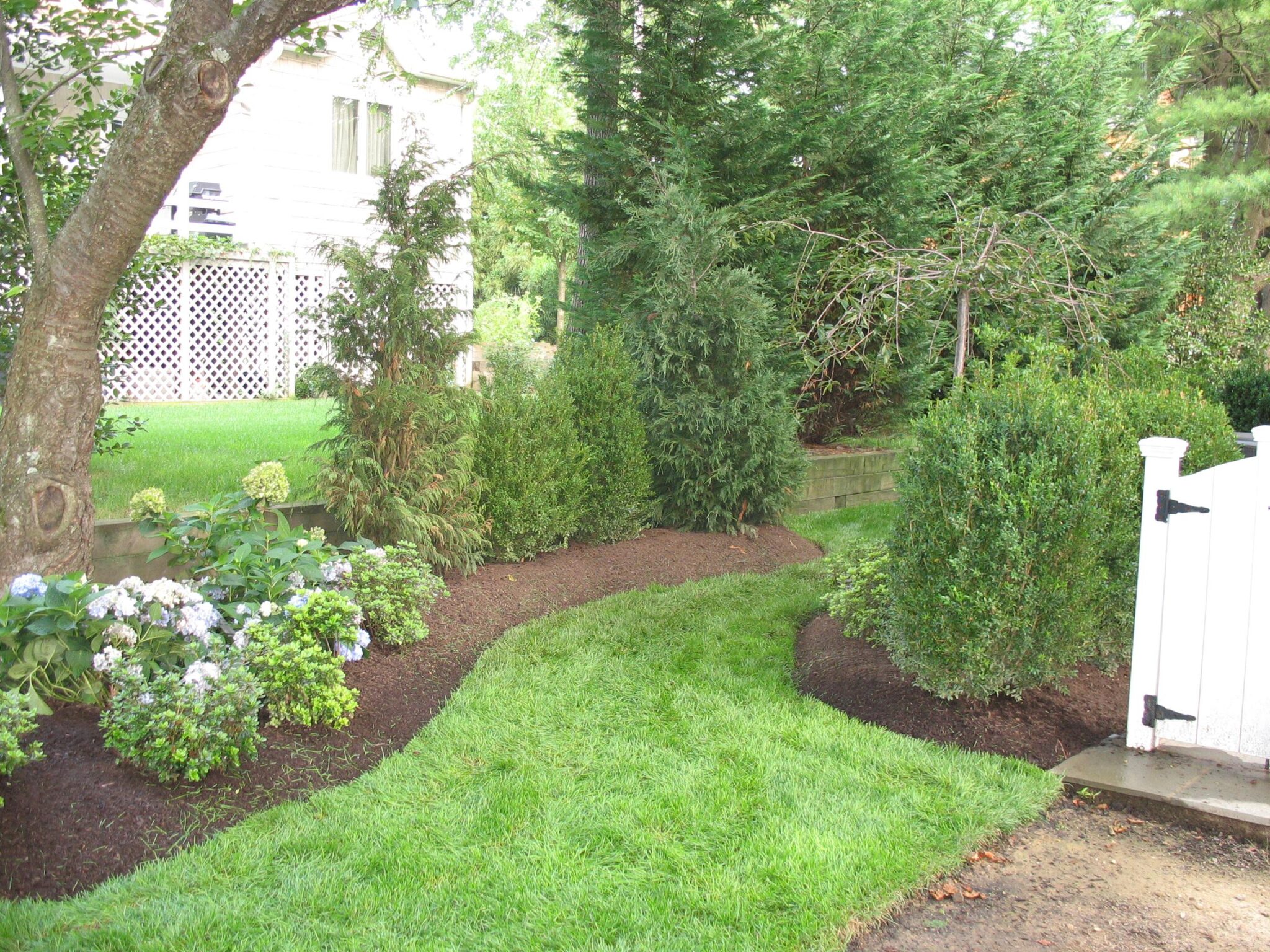 The Top 5 Benefits of Lawn Core Aeration in Mamaroneck, NY | Andora ...